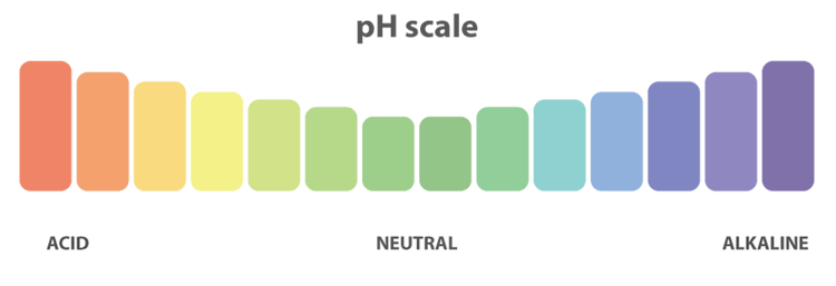 Orthoplex White AlkaMin Essentials | Bio Concepts